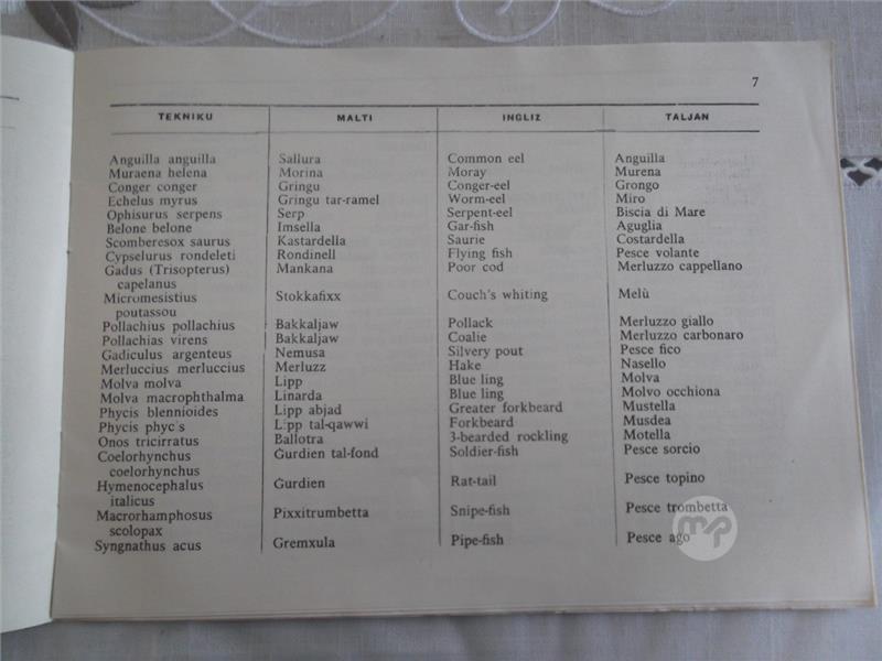 ISMIJIET TAL-HUT TAL-MEDITERRAN : JOE BARBARA : 1976 | Maltapark