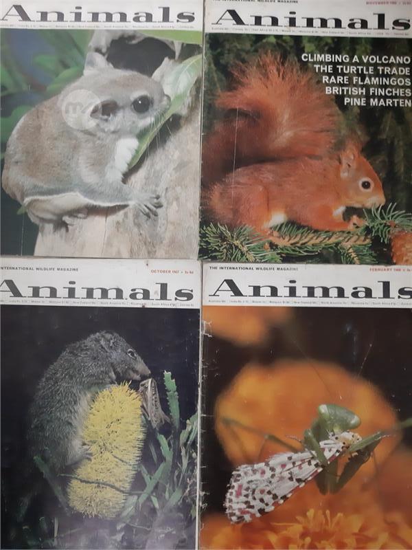 Animals old Magazines 1960's | Maltapark