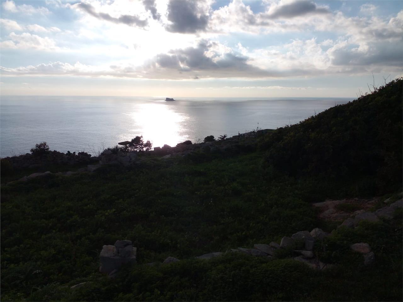 Ghalqa / field | Maltapark