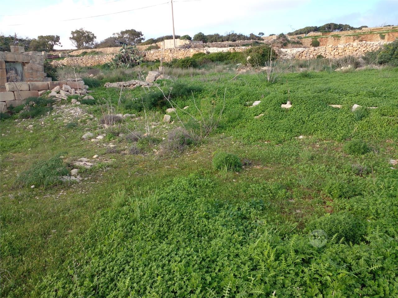 Ghalqa / field | Maltapark