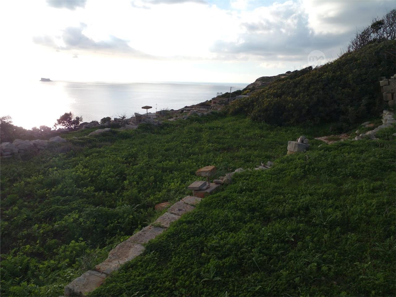 Ghalqa / field | Maltapark