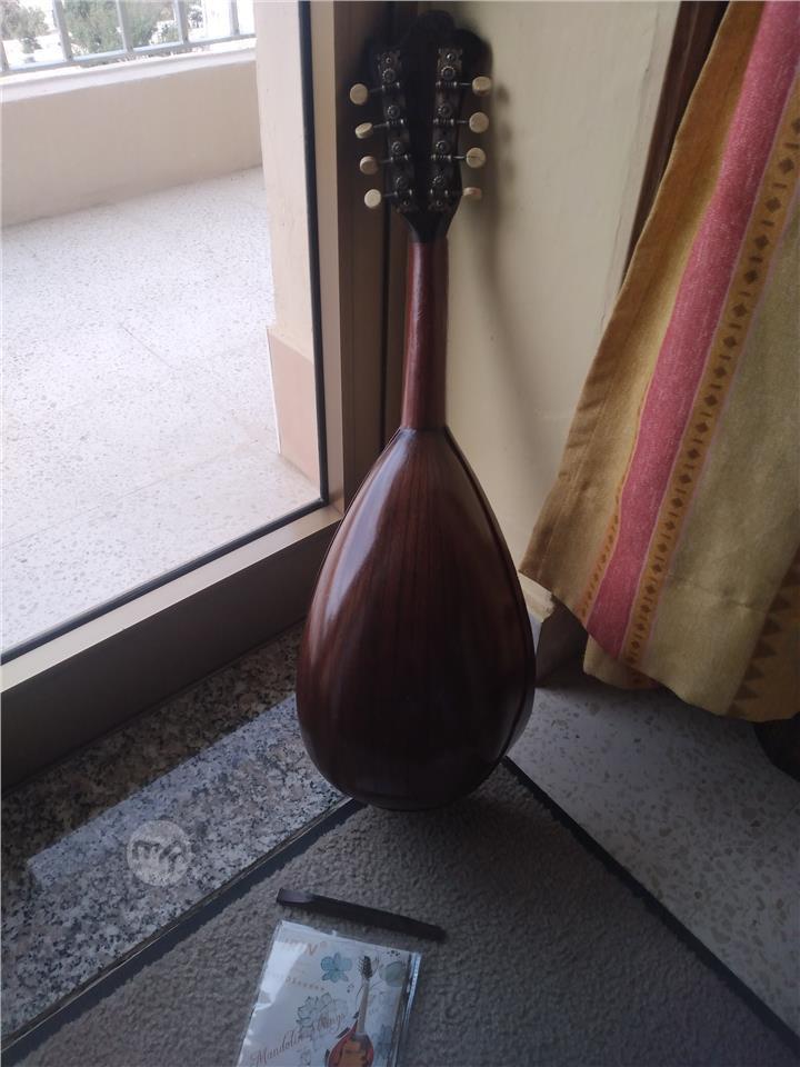 VINTAGE BOWL BACK MANDOLIN 8 STRING INSTRUMENT,NEW STRINGS | Maltapark