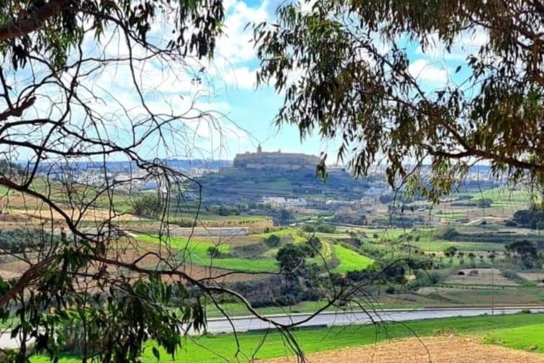 Field with small room in Gozo | Maltapark