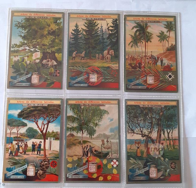 6 LIEBIG CARDS SET FROM 1897. | Maltapark