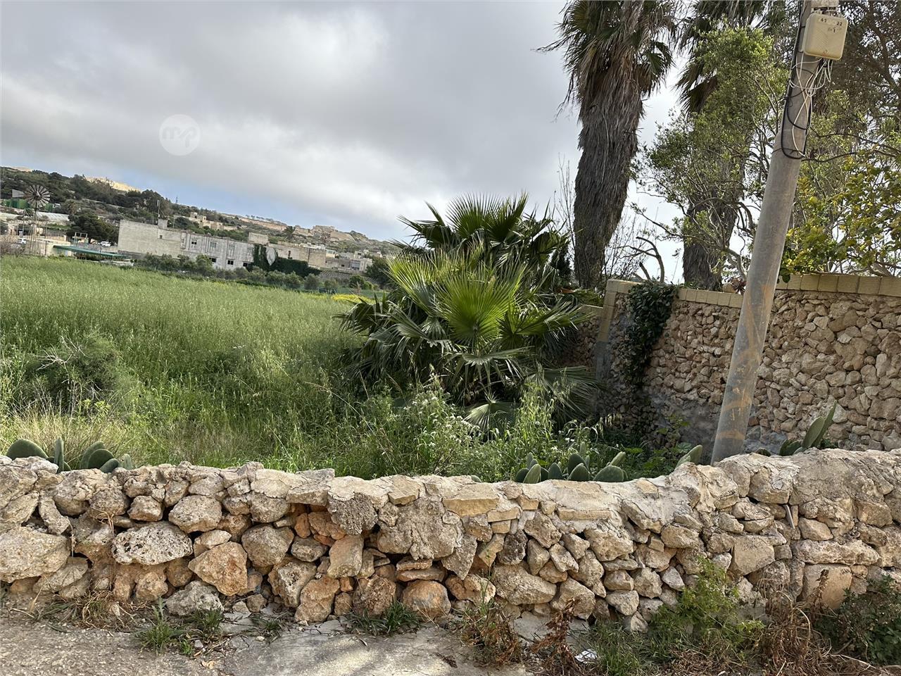 Buskett - field with water reservoir | Maltapark