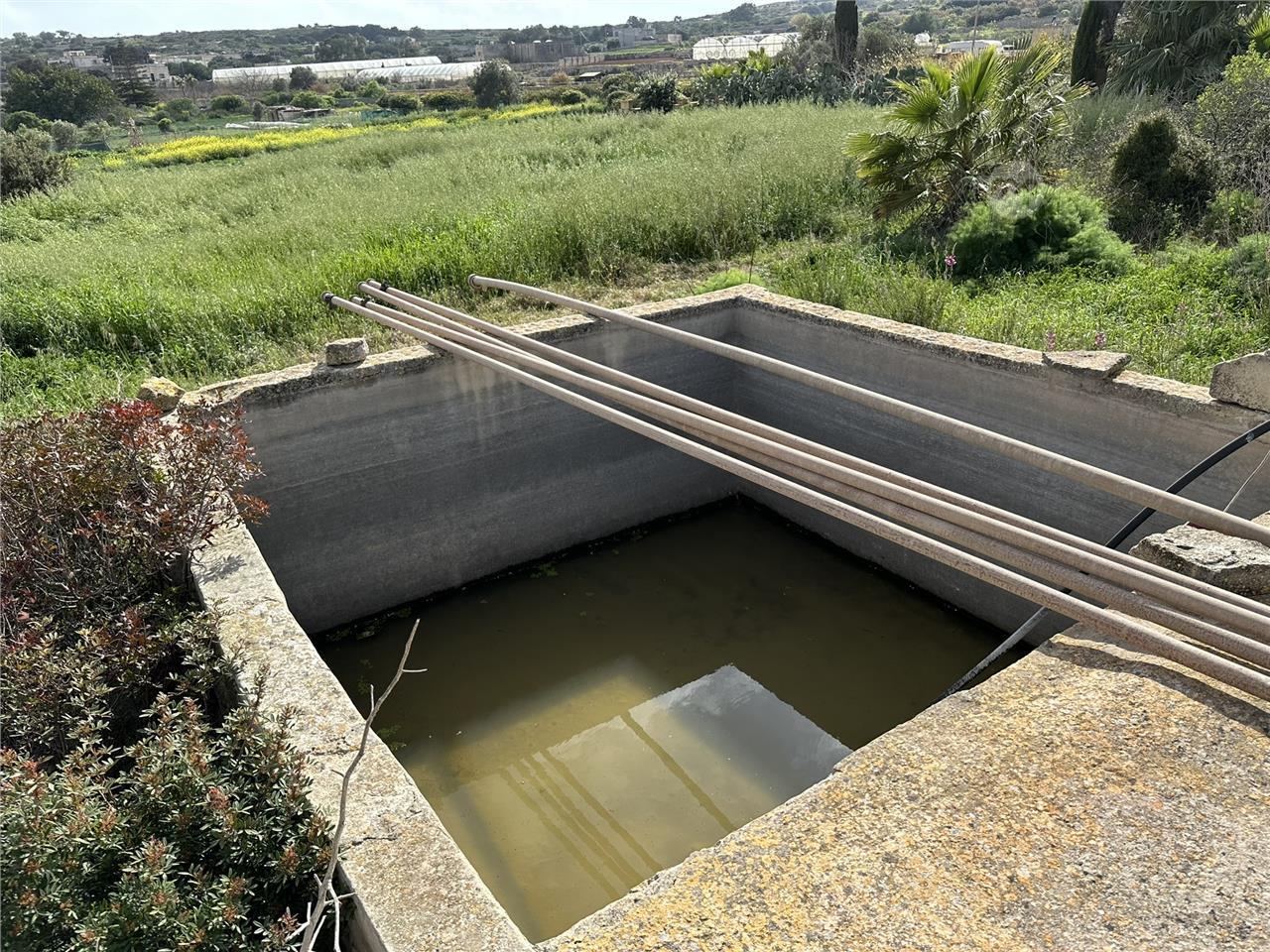 Buskett - field with water reservoir | Maltapark