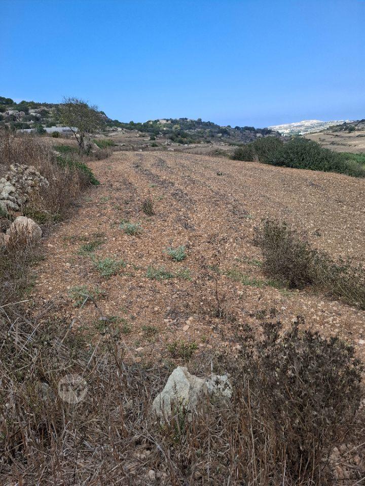 WARDIJA - LARGE AGRICULTURAL FIELD | Maltapark