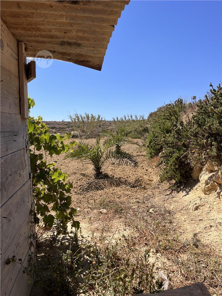 Field Gozo | Maltapark