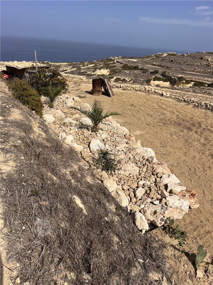 Field Gozo | Maltapark