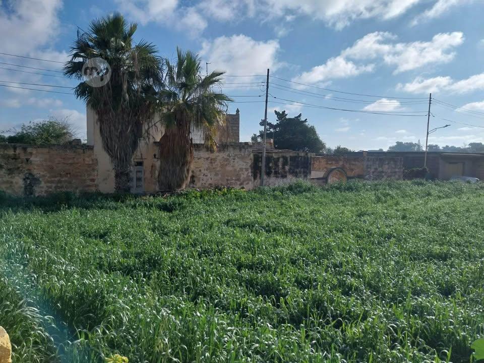 Farmhouse | Maltapark